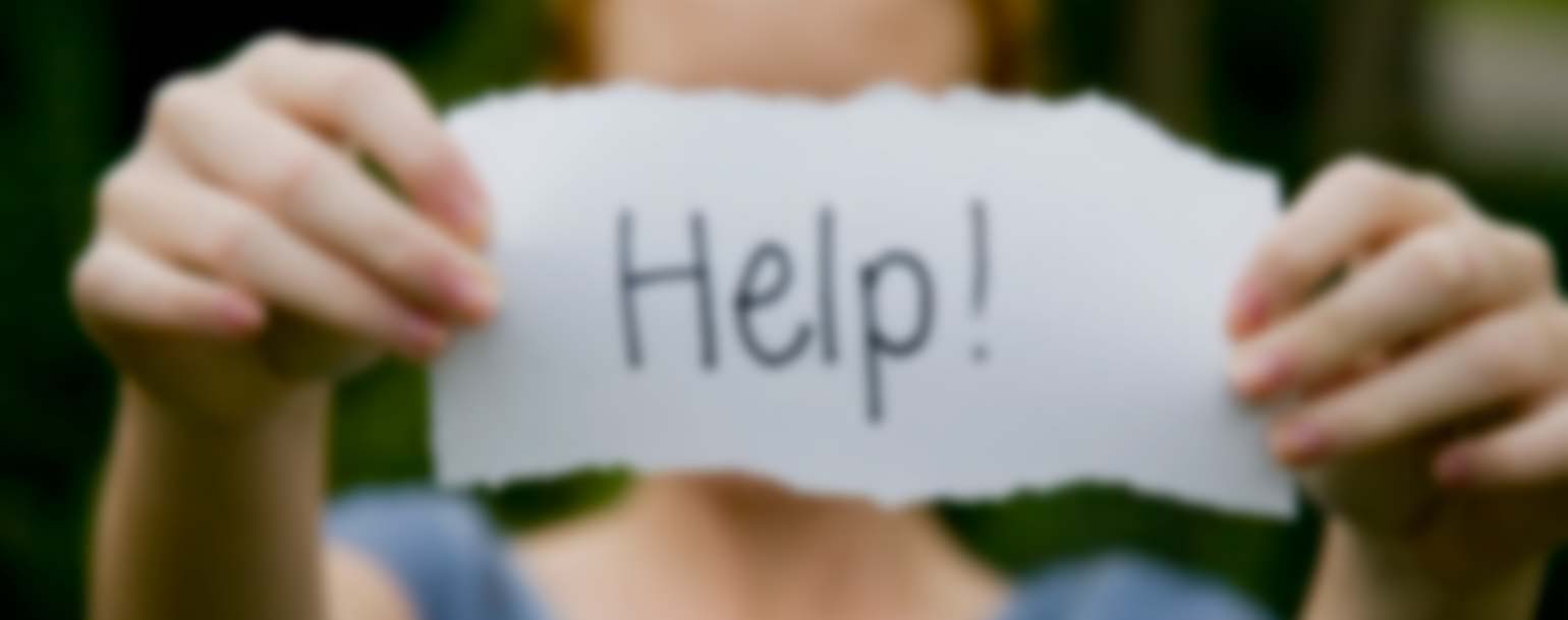 Stark, Elise A | Highly Recommended Counsellors in Hartford CT