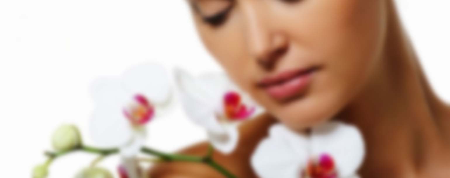 Lauritsen Chiropractic / Therapeutic Massage by Brooke | Highly ...